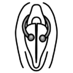 Intieme piercings voor vrouwen - Get Pierced By Rinda